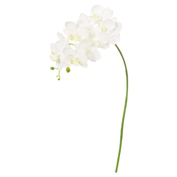 【商品仕様】(素材)※表記サイズの単位はcmです全長42　房16　花径4　(ポリエステル・ポリエチレン)【お伝えしたいこと】※商品名の×(数字)は商品1点に含まれる花やつぼみの輪数です。( asc2026 )( allp5 )( 15aso...