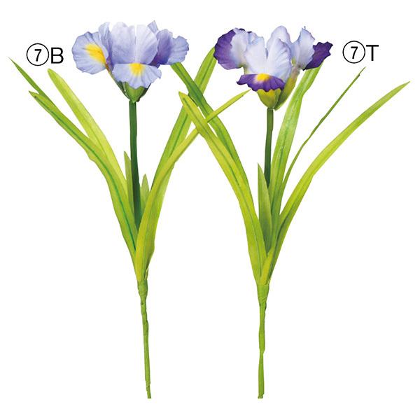 商品サイズ(素材):L25 花径6.5 (ポリエステル・ポリエチレン)( allp5 )(10_dras)( 15_asoh )( sprngflw )( elsmmr ) 杜若 カキツバタ 菖蒲 アヤメ 五月 5月 アーティフィシャルフラ...