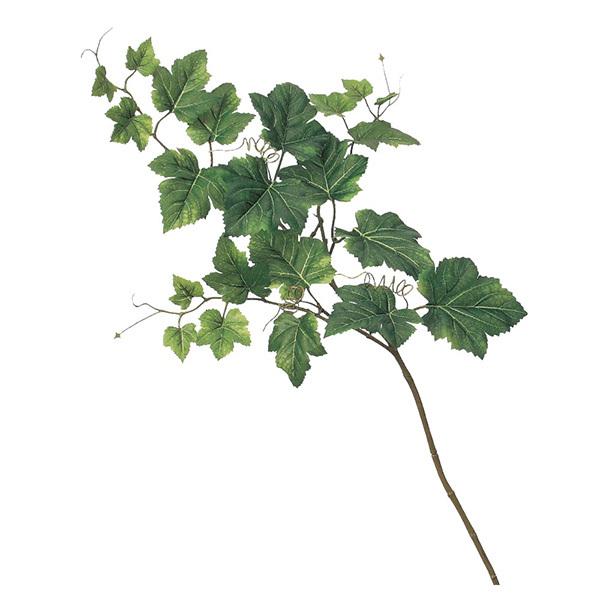 商品サイズ(素材):L80 葉径3.5~10 (ポリエステル・ポリエチレン)【ポリエチレン商品について】プラスチックの素材感がよくわかるものになります。光沢感、硬さがあるものや、一部製造過程でできる、バリと呼ばれるはみ出た部分があるものもご...