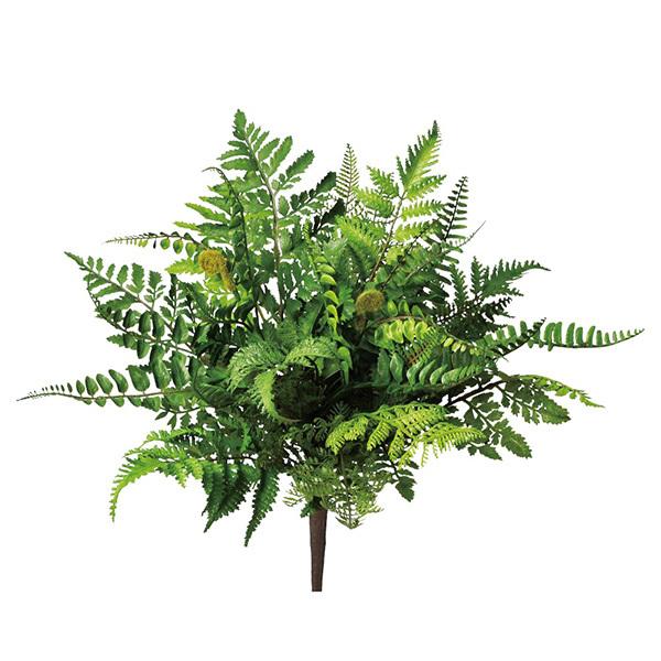 【商品サイズ】(素材)L35 W40 葉長13~26 (ポリエチレン)※単位は《cm》です【ポリエチレン商品について】プラスチックの素材感がよくわかるものになります。光沢感、硬さがあるものや、一部製造過程でできる、バリと呼ばれるはみ出た部分...