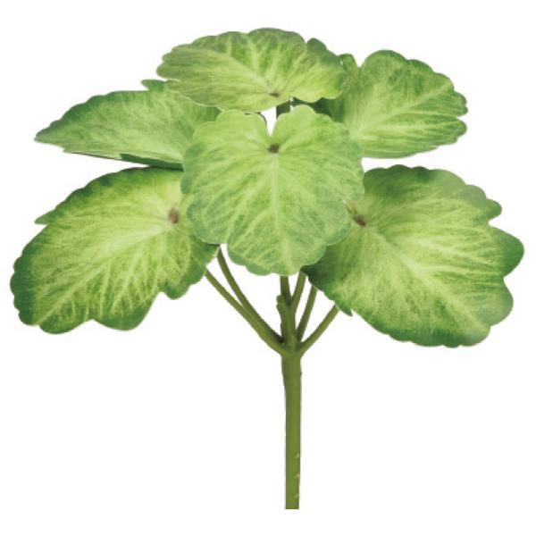 【商品仕様】(素材)全長16 横幅15 葉径5~7 (プラスチックシート・ポリエチレン)※単位はセンチ( 2024asc )( 15_asoh )( allp5 ) インテリア フェイク グリーン パーツ インテリアフラワー フェイクフラワ...