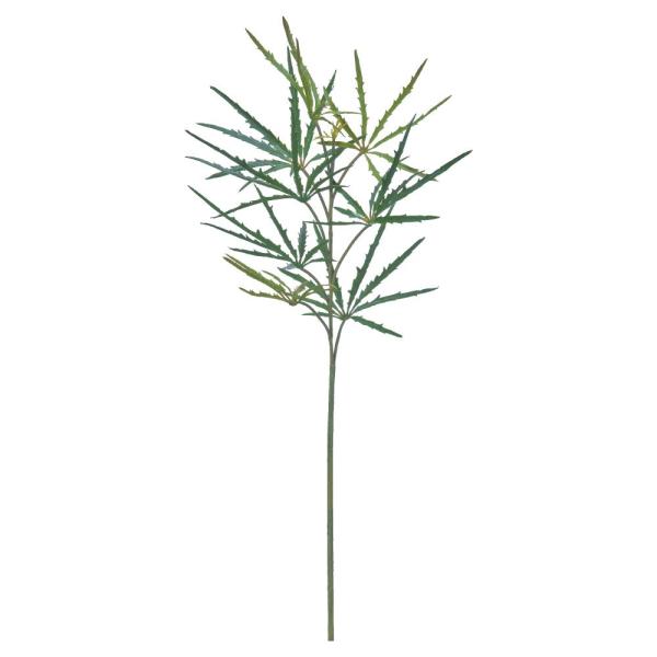 【商品仕様】(素材)※表記サイズの単位はcmです全長80　葉径15〜20　(ポリエチレン)( asc2026 )( allp5 )( 15asoh ) アラレア アラリア ウコギ科植物 インテリア フェイク グリーン パーツ インテリアフラ...