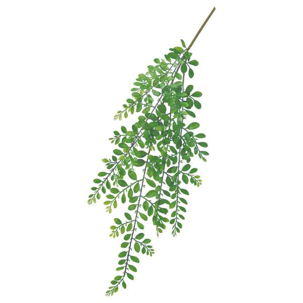 【商品仕様】(素材)※表記サイズの単位はcmです全長80　葉径0.5〜3.5　(ポリエチレン)( asc2026 )( allp5 )( 15asoh ) 葉物ハンギング グリーンスプレー インテリア フェイク パーツ インテリアフラワー ...