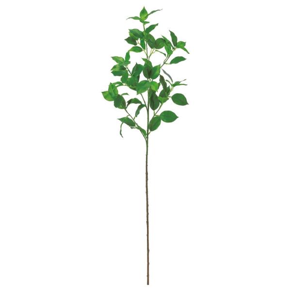 【商品仕様】(素材)※表記サイズの単位はcmです全長79　葉径4〜5.5　(プラスチックシート・ポリエチレン)( asc2026 )( allp5 )( 15asoh ) ファイカス ゴムの木 インドゴムノキ インテリア フェイク グリーン...