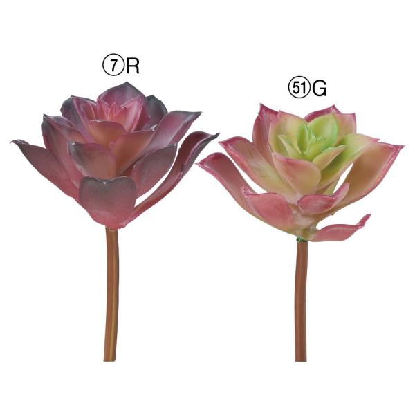 【商品仕様】(素材)※表記サイズの単位はcmです全長13　径10　(ポリエチレン)( asc2026 )( allp5 )( 15asoh ) サッカレンテン 多肉植物 たにくしょくぶつ インテリア フェイク グリーン パーツ アレンジメン...