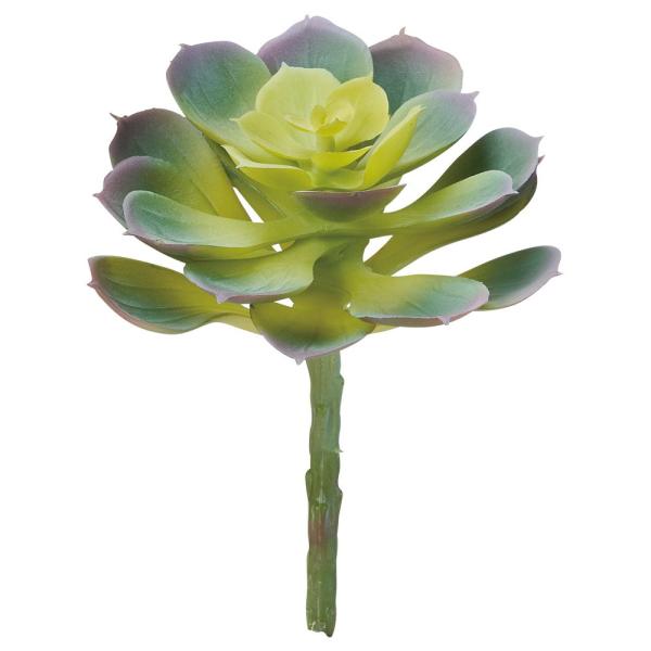 【商品仕様】(素材)※表記サイズの単位はcmです全長14　径11　(ポリエチレン)( asc2026 )( allp5 )( 15asoh ) サッカレンテン 多肉植物 たにくしょくぶつ インテリア フェイク グリーン パーツ アレンジメン...