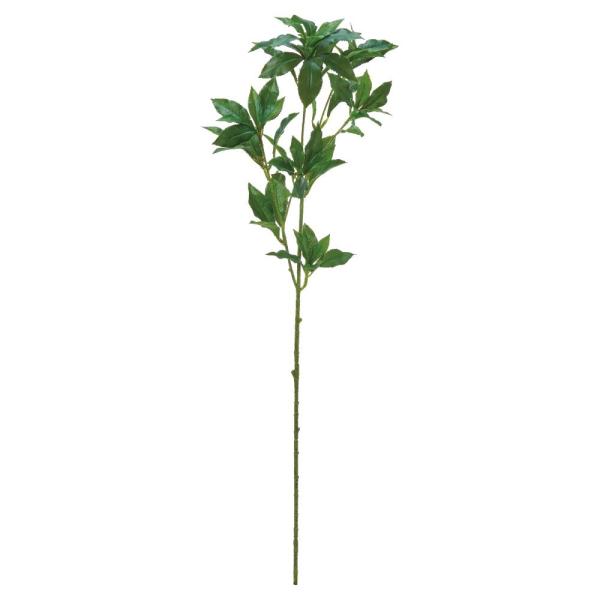 【商品仕様】(素材)※表記サイズの単位はcmです全長80　葉径5.5〜7.5　(プラスチックシート・ポリエチレン)( asc2026 )( allp5 )( 15asoh ) アセビ 馬酔木 あせび インテリア フェイク グリーン パーツ ...