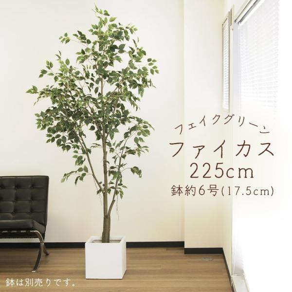 【商品仕様】(素材)高さ225横幅100ポット:高さ15径17.5(ポリエステル・ポリエチレン・プラスチック)※単位はセンチ※幹は2分割になります。ご自身で組み立ててご使用ください。※こちらは大型商品のため、沖縄・離島への配送不可商品となり...