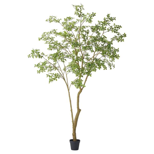 【商品仕様】（素材）※単位はセンチ高さ280 幅165 ポット:高さ19 直径21.5 (プラスチックシート・ポリエチレン・プラスチック)※幹は6分割になります。( 2025AWasc )( allp5 )【メーカー直送品注意事項】★こちら...