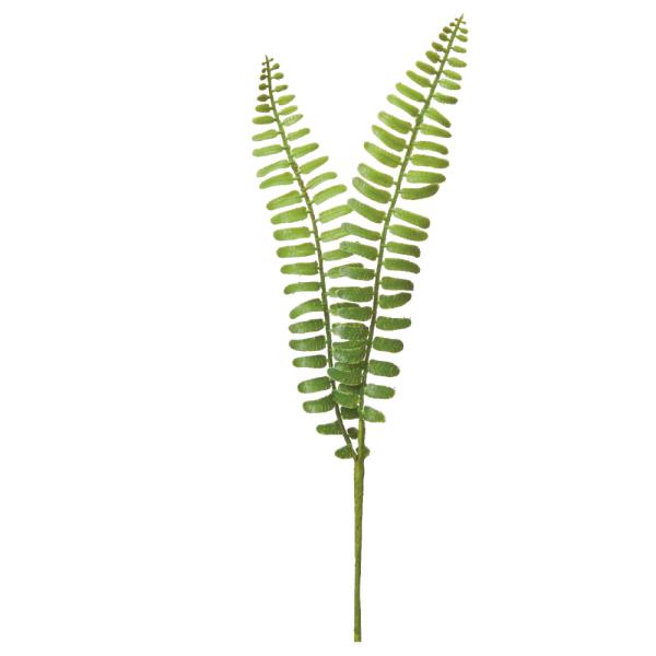 【商品仕様】（素材）※単位はセンチ全長30 葉19×3.5 (ポリエチレン)( 2025AWasc )( allp5 )( nwyrslk ) ネフロレピス シダ お正月 お正月アレンジ お正月花材 和 和風 和モダン 日本風 お正月飾り ...