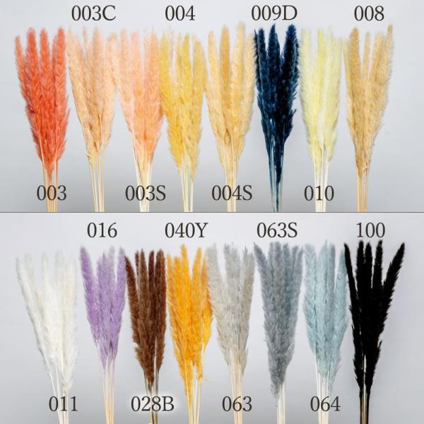 【商品仕様】全長 約50cm6本(1束)【お伝えしたいこと】※花材を入れている袋にしわが入っている場合があります。※ドライ加工した商品の特性上、穂が落ちやすくなっております。ヘアスプレーや当店で取り扱っているネオ・ルシールを使っていただくと...