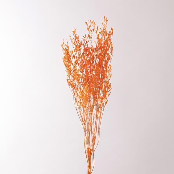 【商品仕様】(素材)全長 約60cm【お伝えしたいこと】※花材を入れている袋にしわが入っている場合があります。( allp5 )(10_dras)( 15_asoh )*( rsn ) 橙 スワッグ 髪飾り 花材 パーツ 材料 花束 ブーケ...