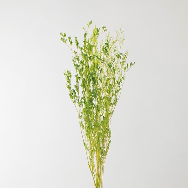 【商品仕様】(素材)全長 約60cm【お伝えしたいこと】※花材を入れている袋にしわが入っている場合があります。( allp5 )(10_dras)( 15_asoh )*( rsn ) グレー スワッグ 髪飾り 花材 パーツ 材料 花束 ブ...