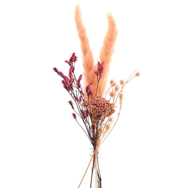 【商品仕様】(素材)全長 約40cm【お伝えしたいこと】※花材を入れている袋にしわが入っている場合があります。( allp5 )(10_dras)( 15_asoh )人気のテールリードを中心に組み合わせたミックスブーケ。そのままスワッグと...