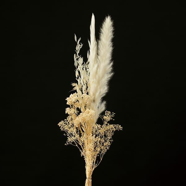 【商品仕様】(素材)全長 約40cm【お伝えしたいこと】※花材を入れている袋にしわが入っている場合があります。( allp5 )(10_dras)( 15_asoh )* 花材 材料 緑 リーフ 葉 ドライフラワー スワッグ ブーケ ドライ...