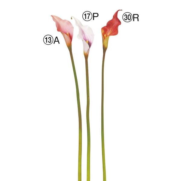 【商品仕様】（素材）※単位はセンチ全長55 花径9×5.5×10 (EVA・ポリエチレン)( allp5 )( 15asoh ) オランダカイウ 阿蘭陀海芋 カラー ブライダル ブーケ コーラル コーラルピンク コーラルオレンジ ピーチ 桃...