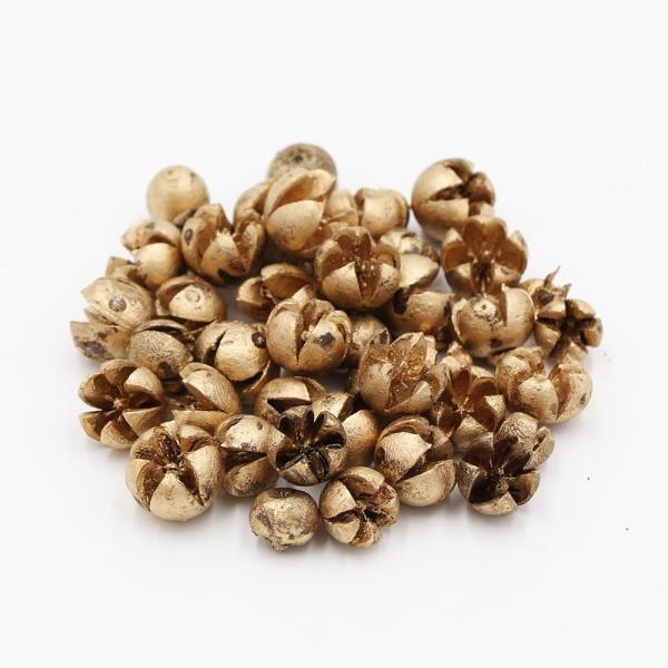 【商品仕様】実径:約2cm1袋(約50g・約40個)インド産【お伝えしたいこと】※木の実は自然素材の性質上、割れや欠け・潰れが含まれる場合があります。※一部下地が見えるような塗り方のゴールドペイントです。( allp5 )(10_dras)...