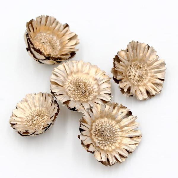 【商品仕様】実径:約4~6cm1袋(約5個)【お伝えしたいこと】※木の実は自然素材の性質上、割れや欠け・潰れが含まれる場合があります。※加工時の薬品のにおいや自然素材特有の香りがします。風通しの良い場所にしばらく置いていただくと、多少薄れて...