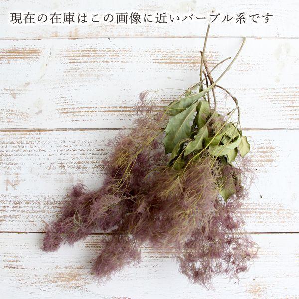 【商品サイズ】全長約45cm約10~15g北海道産( allp5 )(10_dras)ふわふわした繊細な質感が特徴の北海道産スモークツリーです。リースにしたり、スワッグに入れてボリュームを出したり…落ち着いた色味で、ナチュラルな雰囲気を演出...