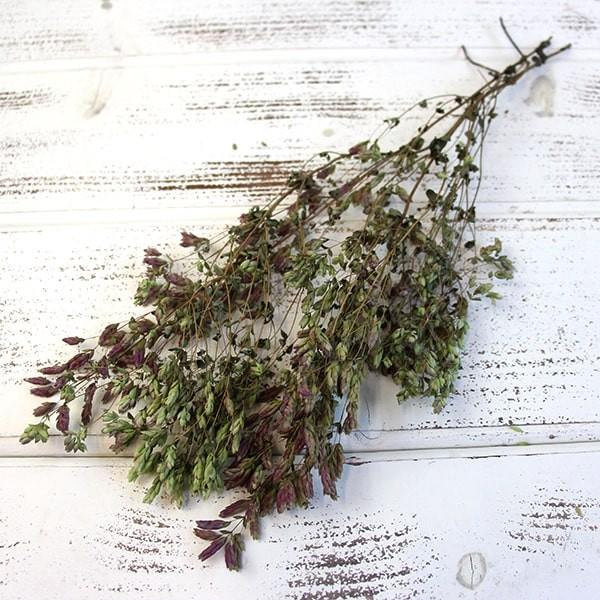 【商品サイズ】1束約10g全長約45cm国内産(10_dras)( allp5 )花びらのように折り重なったピンクグリーンの葉がかわいらしい花材です。スワッグやカットしてハーバリウム、アロマワックスサシェ、レジン封入にもオススメの花材です。...