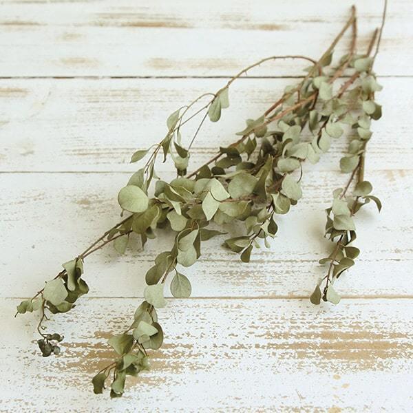 【商品仕様】全長:約55cm( allp5 )(10_dras)( drygr )( natrgr )( grleaf ) 葉 リーフ ドライフラワー スワッグ ブーケ ドライフラワー花束 ドライフラワースワッグ リース アレンジ 花材 素...
