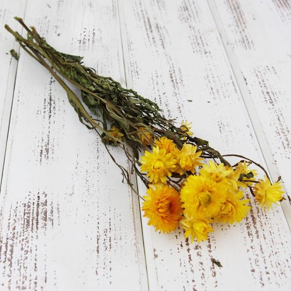 【商品サイズ】約20~30g( allp5 )(10_dras)( 40per )ヘリクリサムは学名で「Helichrysum」。この学名は、ギリシャ語で太陽の意と黄金という意味の言葉が語源となっています。( yellowor )( dbr...