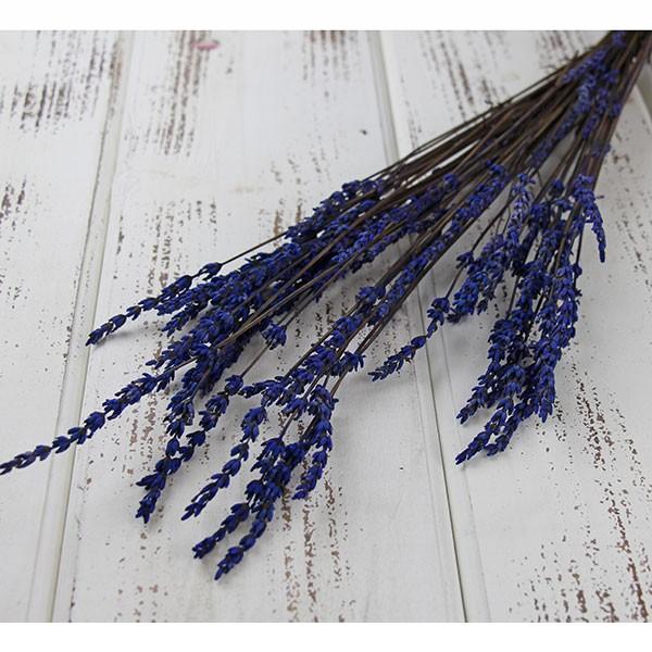 【商品サイズ】約50gイタリア産( allp5 )(10_dras)( bluepp )( rsn ) ラベンダー プリザーブドフラワー スワッグ ブーケ ドライフラワー 花束 リース アレンジ 花材 素材 材料 パーツ アレンジメント ナ...