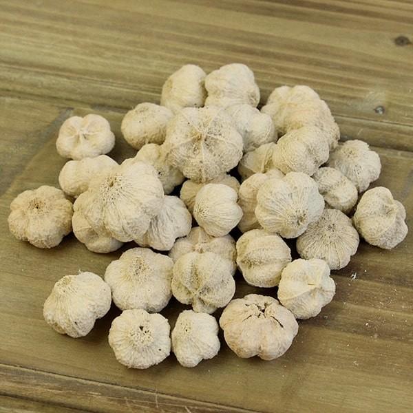 【商品仕様】実径約3~4cm・袋/80g・約25個インド産【お伝えしたいこと】※木の実は自然素材の性質上、割れや欠け・潰れが含まれる場合があります。( allp5 )(10_dras)小さなニンニクのようにも、白いカボチャのようにも見える不...