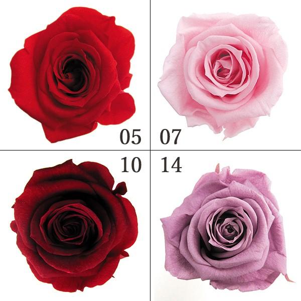 【商品サイズ】花径約3.8~4.5cm・花丈約3.5~4cm【内容量】6輪( allp5 )メディアナローズと同品種のサイズ違いで、一回り小さいローズです。花丈が低めで違うサイズのバラと組み合わせて使いやすいです。( hcprs ) ドライ...