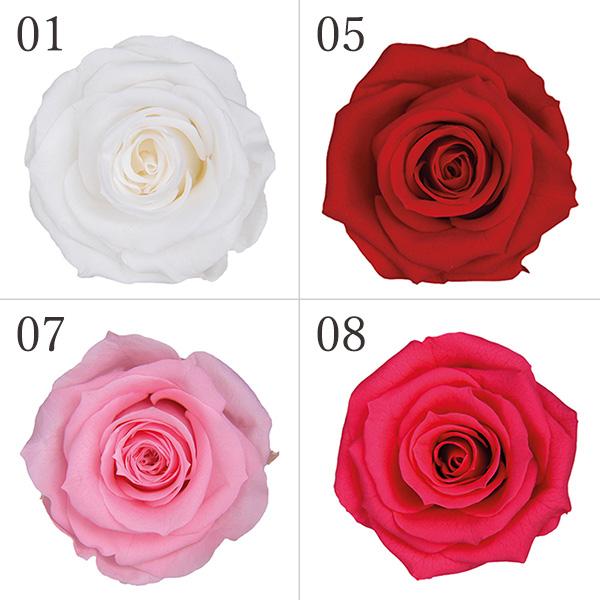 【商品仕様】花径約3.5~5cm全長約20cm6本入り( allp5 )生花と同じように飾れて人気のステム付ローズのスリーブ入りタイプ。お買い求め頂きやすい価格でアレンジやブーケにご使用いただけます。 ドライフラワー 花材 素材 パーツ 材...