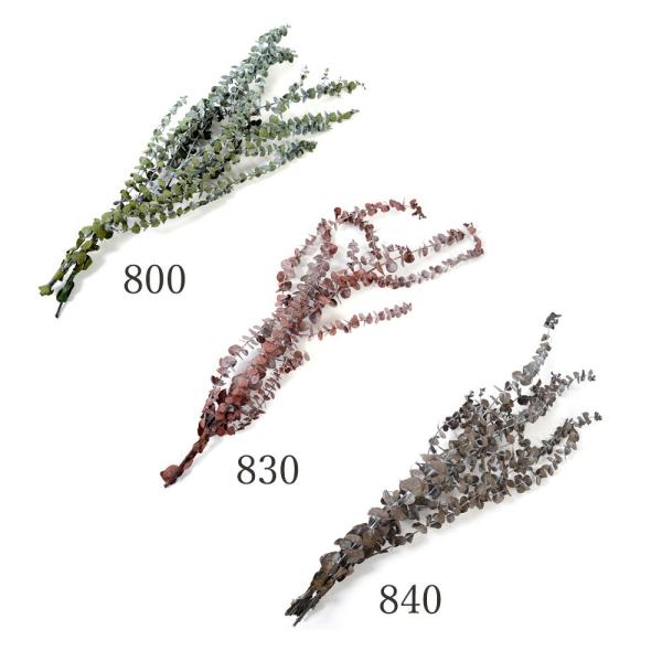 【商品仕様】1束(約50g)長さ40~60cm【お伝えしたいこと】 ※プリザーブドフラワーとは※生花に柔らかい質感を保つよう特殊加工を施したものです。プリザーブドフラワーは染料が染み出す場合があります。ご使用時も色移りにご注意ください。自然...