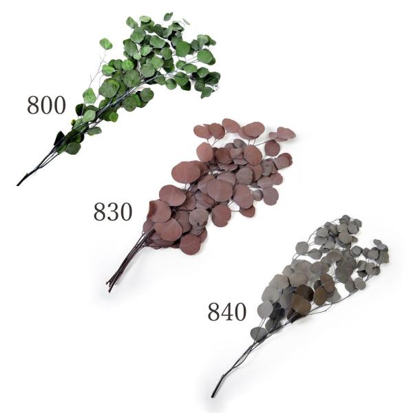 【商品仕様】1束(約50g)長さ40~60cm【お伝えしたいこと】 ※プリザーブドフラワーとは※生花に柔らかい質感を保つよう特殊加工を施したものです。プリザーブドフラワーは染料が染み出す場合があります。ご使用時も色移りにご注意ください。自然...