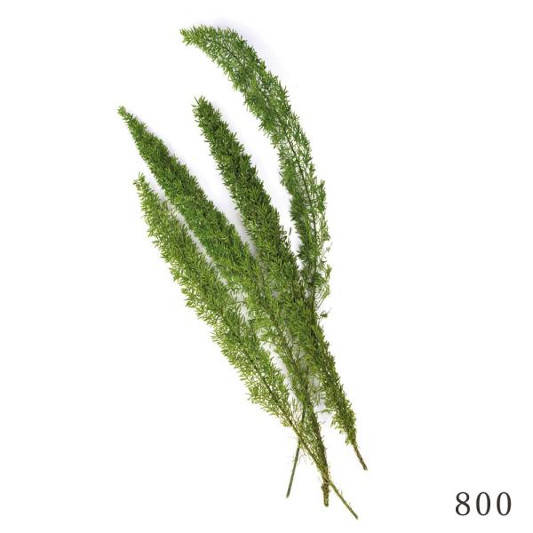 【商品仕様】1束(4本)長さ20~25cm【お伝えしたいこと】 ※プリザーブドフラワーとは※生花に柔らかい質感を保つよう特殊加工を施したものです。プリザーブドフラワーは染料が染み出す場合があります。ご使用時も色移りにご注意ください。自然素材...