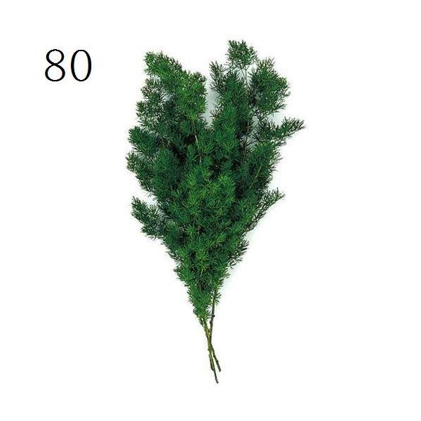 【商品サイズ】長さ20~34cm【内容量】約45g( allp5 )自然なボリュームと爽やかな可愛らしさを。 ドライフラワー 花材 素材 パーツ 材料 グリーン リーフ 葉 プリザグリーン プリザーブドグリーン ハーバリウム プリザーブドロ...