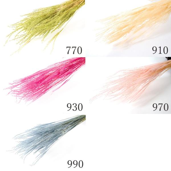 【商品仕様】1束(約15g)長さ約50cm( allp5 ) 花材 素材 パーツ 材料 自然素材 ナチュラルドライフラワー インテリア インテリアフラワー フワフワ パンパス系 プリ プリザ プリザーブド ハーバリウム スワッグ ワークショ...