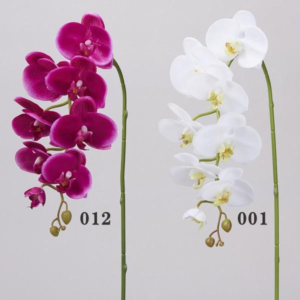【商品サイズ】花径3~8.5cm全長77cm房30cm材質:ポリエステル・ポリエチレン( allp5 ) 胡蝶蘭 コチョウラン モスオーキッド インテリア インテリアフラワー フェイクフラワー シルクフラワー インテリアグリーン フェイクグ...