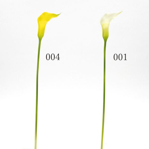 【商品仕様】(素材)全長55cm(ポリエチレン)( allp5 ) カラーリリー カラーリリィ アーティフィシャルフラワー ユリ インテリア インテリアフラワー フェイクフラワー シルクフラワー インテリアグリーン フェイクグリーン アート...