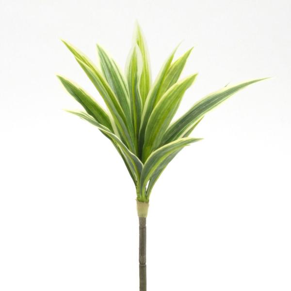 【商品仕様】(素材)幅21cm全長30.5cm(ポリエチレン(R))※この商品は、一部再生素材を使用しています。( allp5 ) ドラセナ ブッシュ フェイクグリーン リーフ 葉物 インテリア パーツ インテリアフラワー フェイクフラワー...