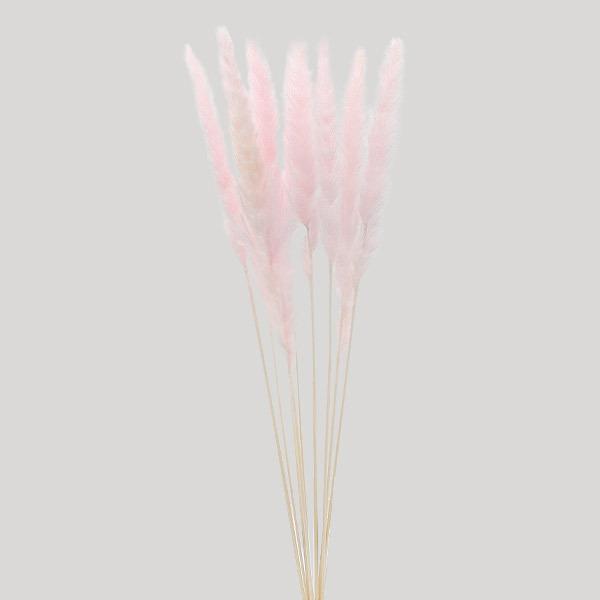 【商品仕様】内容量 約10本サイズ 約70~80cm【お伝えしたいこと】※ドライ加工した商品の特性上、穂が落ちやすくなっております。ヘアスプレーや当店で取り扱っているネオ・ルシールを使っていただくと多少低減が可能ですのでお試しください。( ...