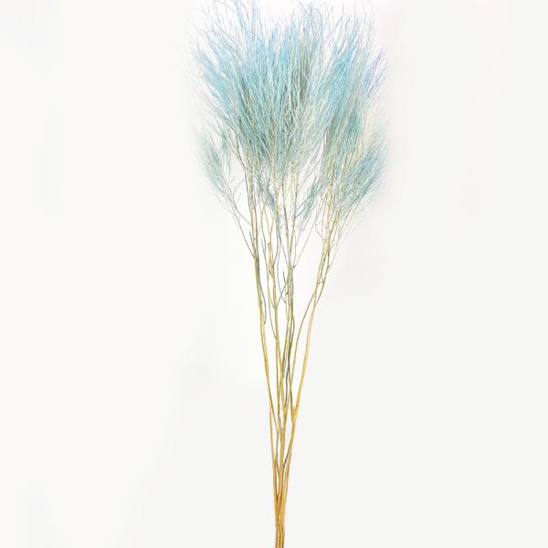 【商品仕様】内容量 約10本サイズ 約60cm( allp5 )スワッグや花束、ブーケに広がりを添えるドライフラワーです。アクセサリーパーツやコサージュなどにもぴったりの花材。( bluepp ) 花材 材料 パーツ 水色 インテリア アロ...