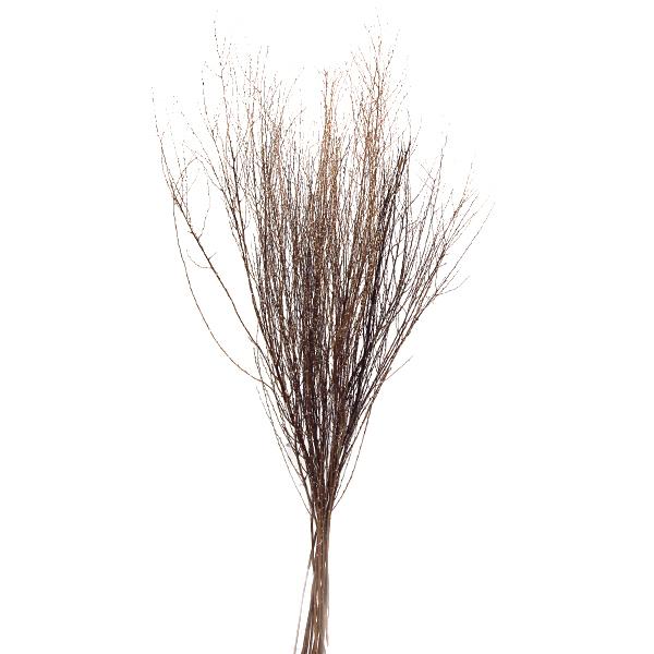 【商品仕様】内容量 約40~60gサイズ 約50cm~70cm( allp5 )小枝に細かく小さな白いふわふわが付いたユニークな花材です。ナチュラルなスワッグの材料としてはもちろん、カットして線状のフォルムを活かしたデザインのレジン封入やア...