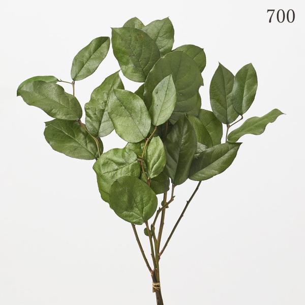 【商品サイズ】全長約35~50cm1束約40~45g※高温多湿・直射日光は色あせの原因になりますのでなるべくお避け下さい。温度が高い場所では染料が表面や切り口から漏れる恐れがあります。衣服を汚す恐れがありますので十分ご注意ください。※こちら...