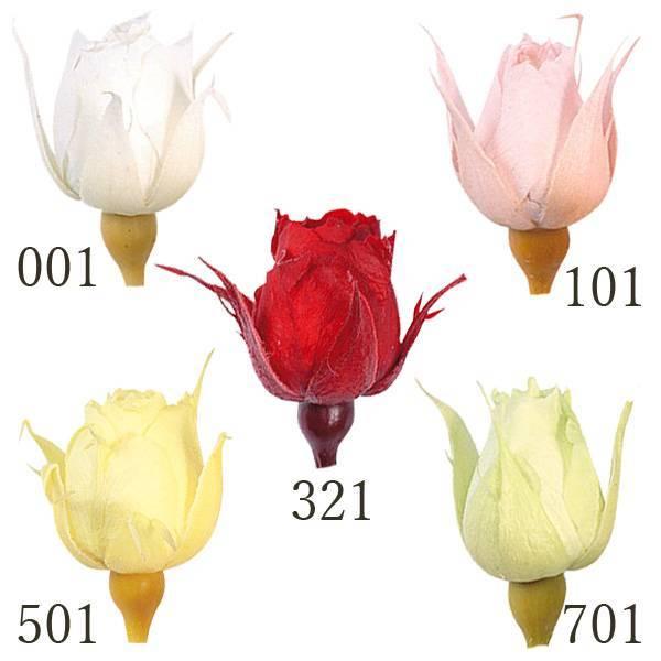 花径:約1~1.5cmφ・花丈:約1.5~2cm( allp5 )(10_dras)( 15_asoh )ミニサイズのプリザーブドローズのつぼみです。( hcprs ) ドライフラワー 花材 素材 パーツ 材料 ローズ ハーバリウム プリザ...