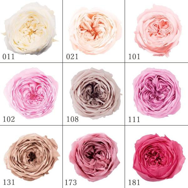 【商品仕様】花径：約4〜5cm花丈：約2.5〜4約8輪(1箱)【お伝えしたいこと】 ※プリザーブドフラワーとは※生花に柔らかい質感を保つよう特殊加工を施したものです。プリザーブドフラワーは染料が染み出す場合があります。ご使用時も色移りにご注...