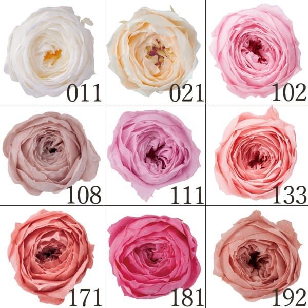 【商品仕様】花径約3~4cm花丈約2.5~3.7cm1箱9輪※高温多湿・直射日光は色あせの原因になりますのでなるべくお避け下さい。温度が高い場所では染料が表面や切り口から漏れる恐れがあります。衣服を汚す恐れがありますので十分ご注意ください。...