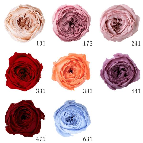 【商品サイズ】花径約3~4cm花丈約2.5~3.7cm1箱9輪※高温多湿・直射日光は色あせの原因になりますのでなるべくお避け下さい。温度が高い場所では染料が表面や切り口から漏れる恐れがあります。衣服を汚す恐れがありますので十分ご注意ください...