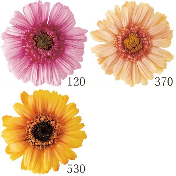 【商品仕様】直径5.5~8cm1箱9輪※季節によりサイズ、花形にバラつきが出ることがあります。※高温多湿・直射日光は色あせの原因になりますのでなるべくお避け下さい。温度が高い場所では染料が表面や切り口から漏れる恐れがあります。衣服を汚す恐れ...