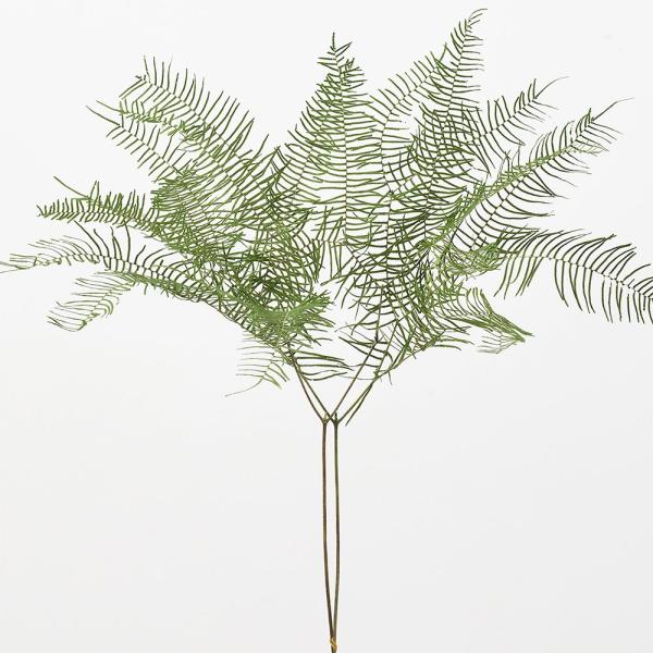 【商品仕様】全長：約50〜60cm1束2枚入り【お伝えしたいこと】　※プリザーブドフラワーとは※生花に柔らかい質感を保つよう特殊加工を施したものです。プリザーブドフラワーは染料が染み出す場合があります。ご使用時も色移りにご注意ください。自然...