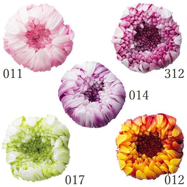 【商品仕様】花径約4~5cm花丈約4~5.5cm1箱6輪※加工方法の特性上、色の付き方に個体差があります。※高温多湿・直射日光は色あせの原因になりますのでなるべくお避け下さい。温度が高い場所では染料が表面や切り口から漏れる恐れがあります。衣...