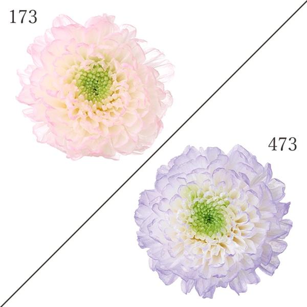 【商品仕様】花径3〜4.5cm1箱12輪入り【お伝えしたいこと】 ※プリザーブドフラワーとは※生花に柔らかい質感を保つよう特殊加工を施したものです。プリザーブドフラワーは染料が染み出す場合があります。ご使用時も色移りにご注意ください。自然素...